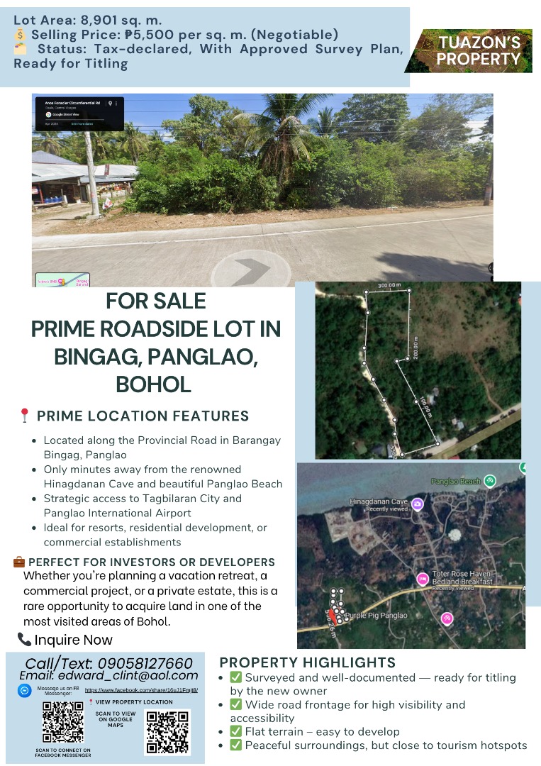 PRIME ROAD LOT IN BINGAG, PANGLAO, BOHOL, Property, For Sale, Lot on Carousell