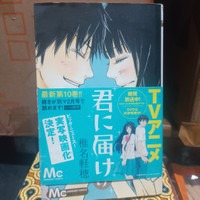 komik manga impor Kimi ni todoke 10 / komik manga impor Kimi ni todoke ...