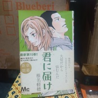 komik manga impor Kimi ni todoke 15 / komik manga impor Kimi ni todoke ...