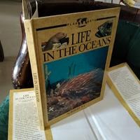 LIFE IN THE OCEAN - NORBERT WU, Buku & Alat Tulis, Buku di Carousell
