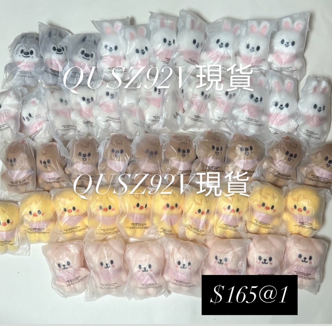 【現貨】Stray Kids [SKZ 5'CLOCK] SKZOO Plush 10cm PuppyM BbokAri Leebit ...