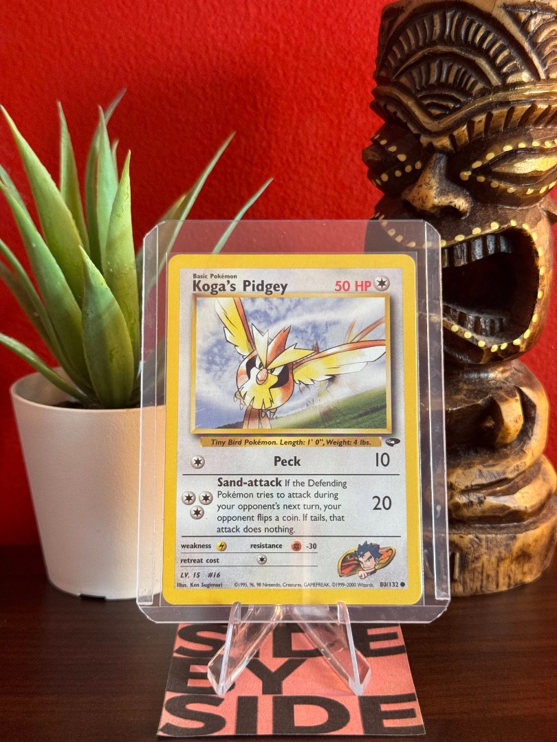 Vintage Pokemon TCG Card - Koga's Pidgey (Gym Challenge, #80/132, WOTC ...