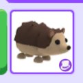 Adopt Me Hedgehog, Video Gaming, Gaming Accessories, In-Game Products ...