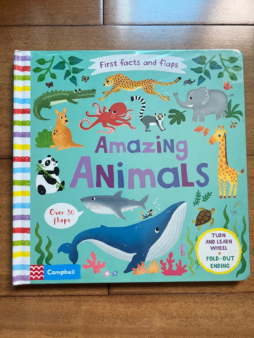 Amazing Animals Flaps Book, Hobbies & Toys, Books & Magazines, Children ...