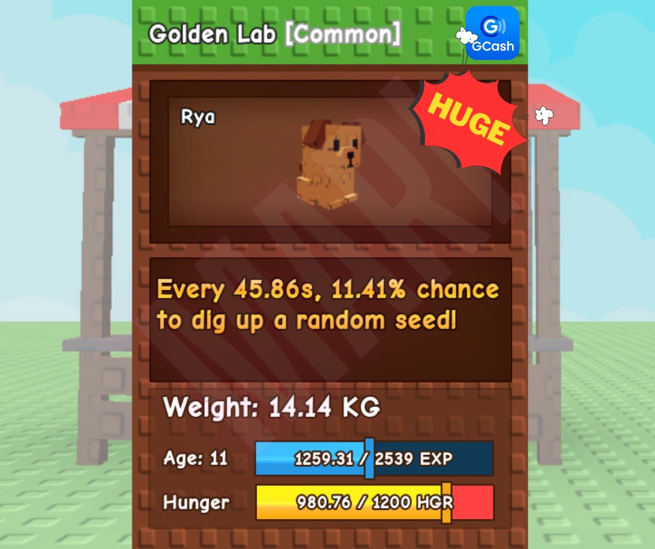 GROW A GARDEN HUGE GOLDEN LAB, Video Gaming, Gaming Accessories, In ...