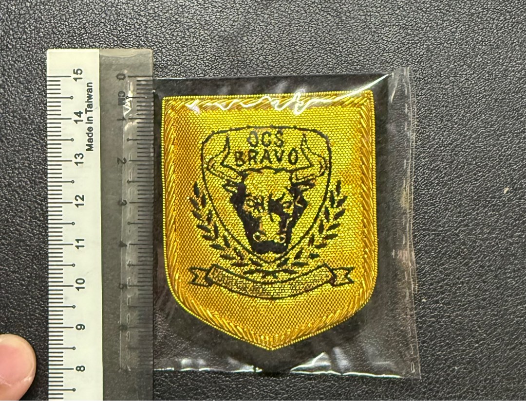 [RARE] OCS Bravo Wing Hand-Embroidered Badge (Decommissioned Wing ...
