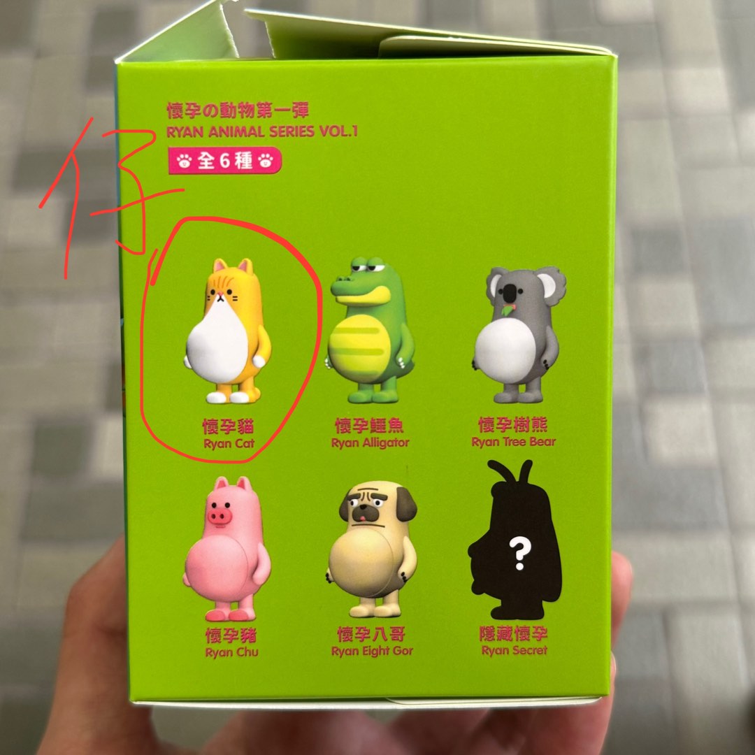懷孕の動物 第一彈 貓 換八哥 仔 ryan animal cat 八哥 盲盒 抽, 興趣及遊戲, 玩具 & 遊戲類 - Carousell