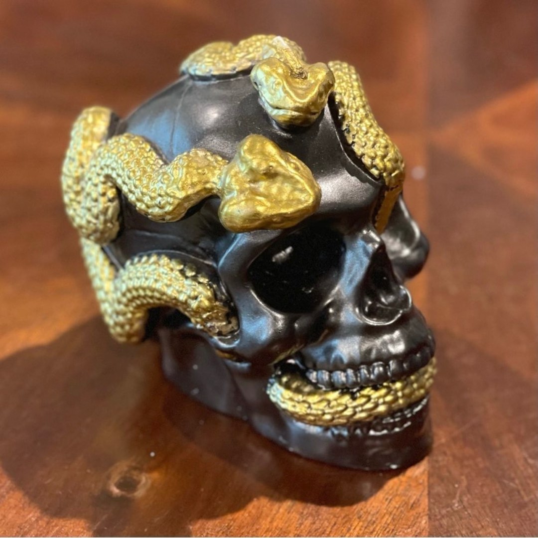 High Quality Handmadr Anatomically Accurate Black Skull 5” Bleeding ...