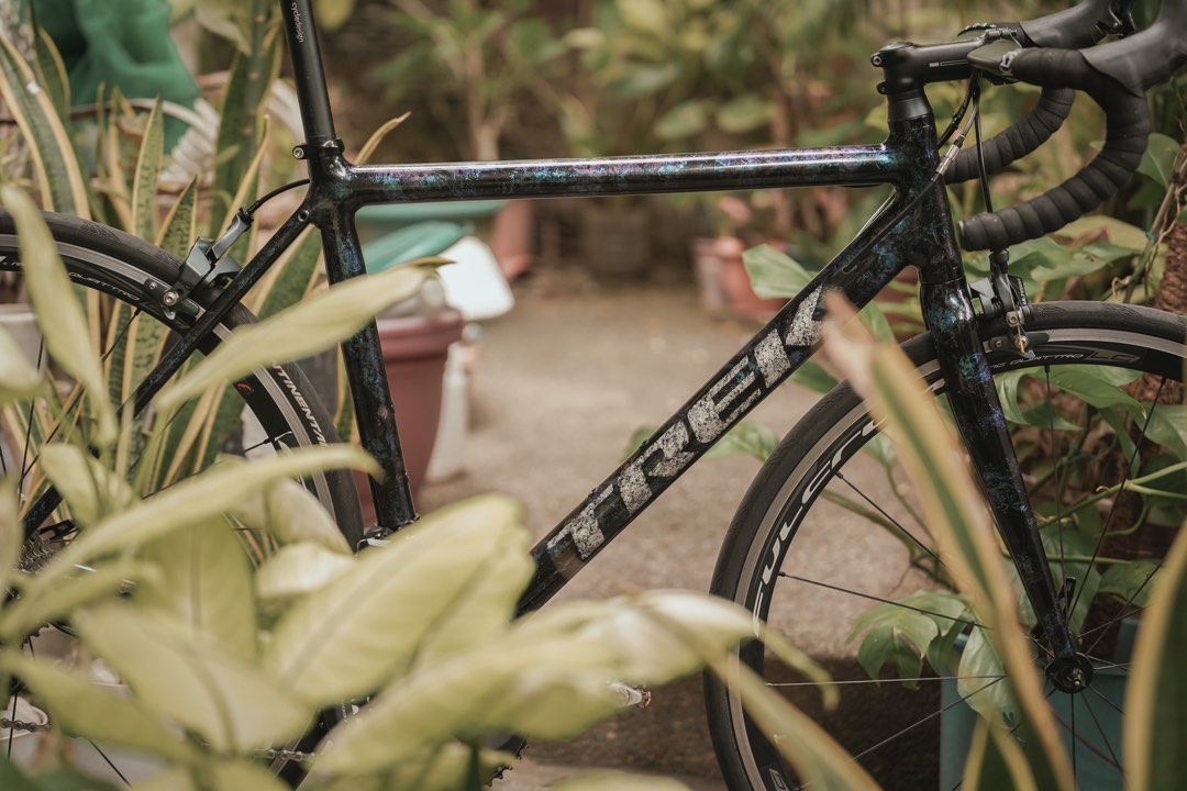 Trek Alpha Road Bike | Custom Medium, Sports Equipment, Bicycles ...