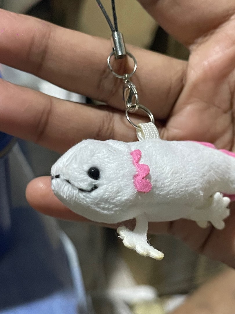 axolotl japan mini plush, Hobbies & Toys, Toys & Games on Carousell