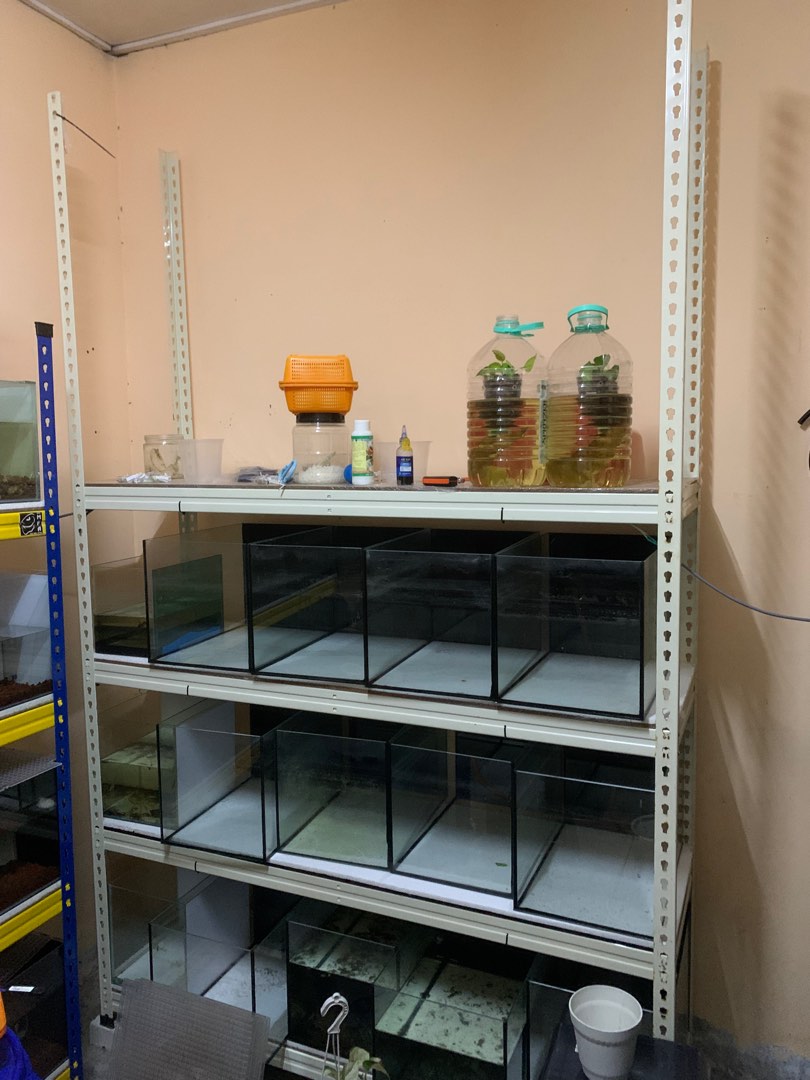 Hyperrack 5ft x 1.5ft x 8ft & 6ft x 1.5ft x 8ft, Furniture & Home ...