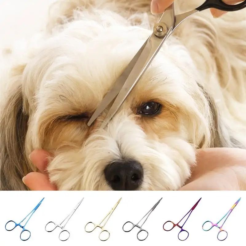 Stainless Steel Dog Curved Shear Professional Pet Grooming Scissors ...