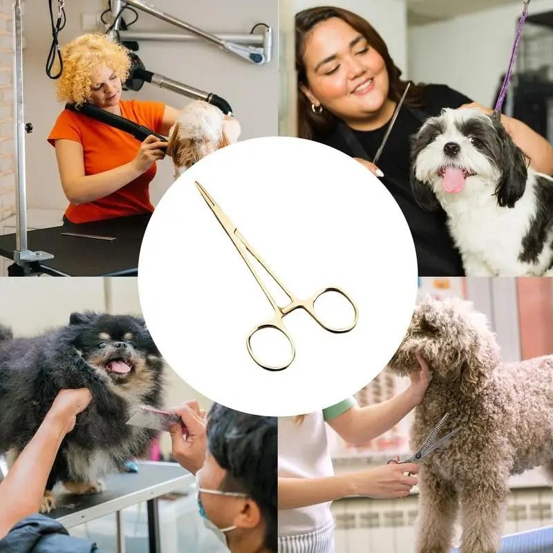 Stainless Steel Dog Curved Shear Professional Pet Grooming Scissors ...