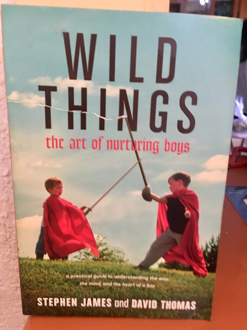 Wild Things: The Art of Nurturing Boys by Stephen James and David Thomas, Hobbies & Toys, Books ...
