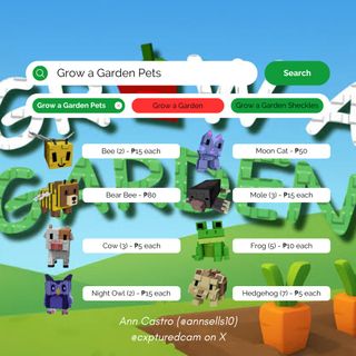 Roblox Grow a Garden Butterfly Pet, Video Gaming, Gaming Accessories ...