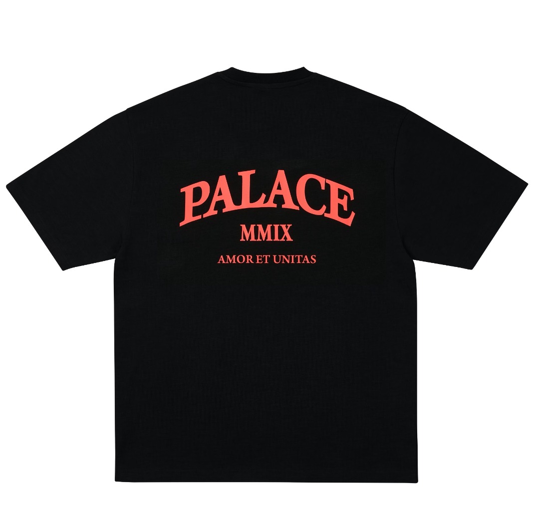 Palace unitas tee summer 2025 palace skateboards (Mail direct from ...