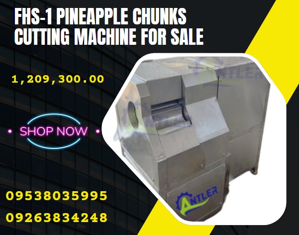 FHS-1 PINEAPPLE CHUNKS CUTTING MACHINE FOR SALE, Everything Else ...