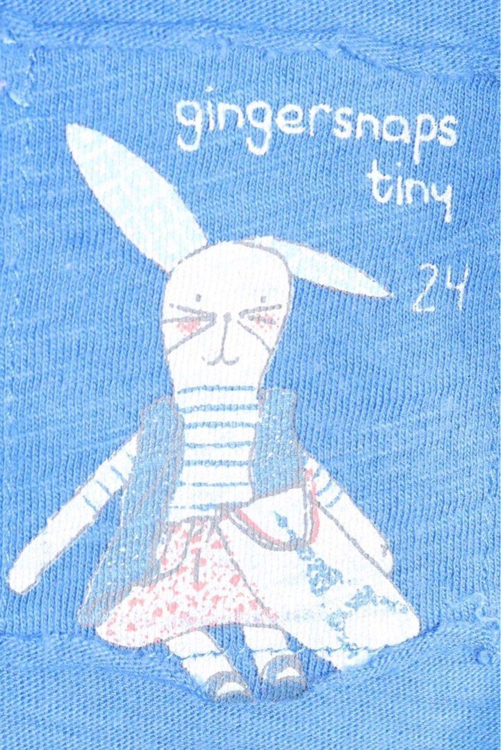 #117 Gingersnaps 2 Year Old 24 months Tiny Blue Top Baby Kids Girl ...