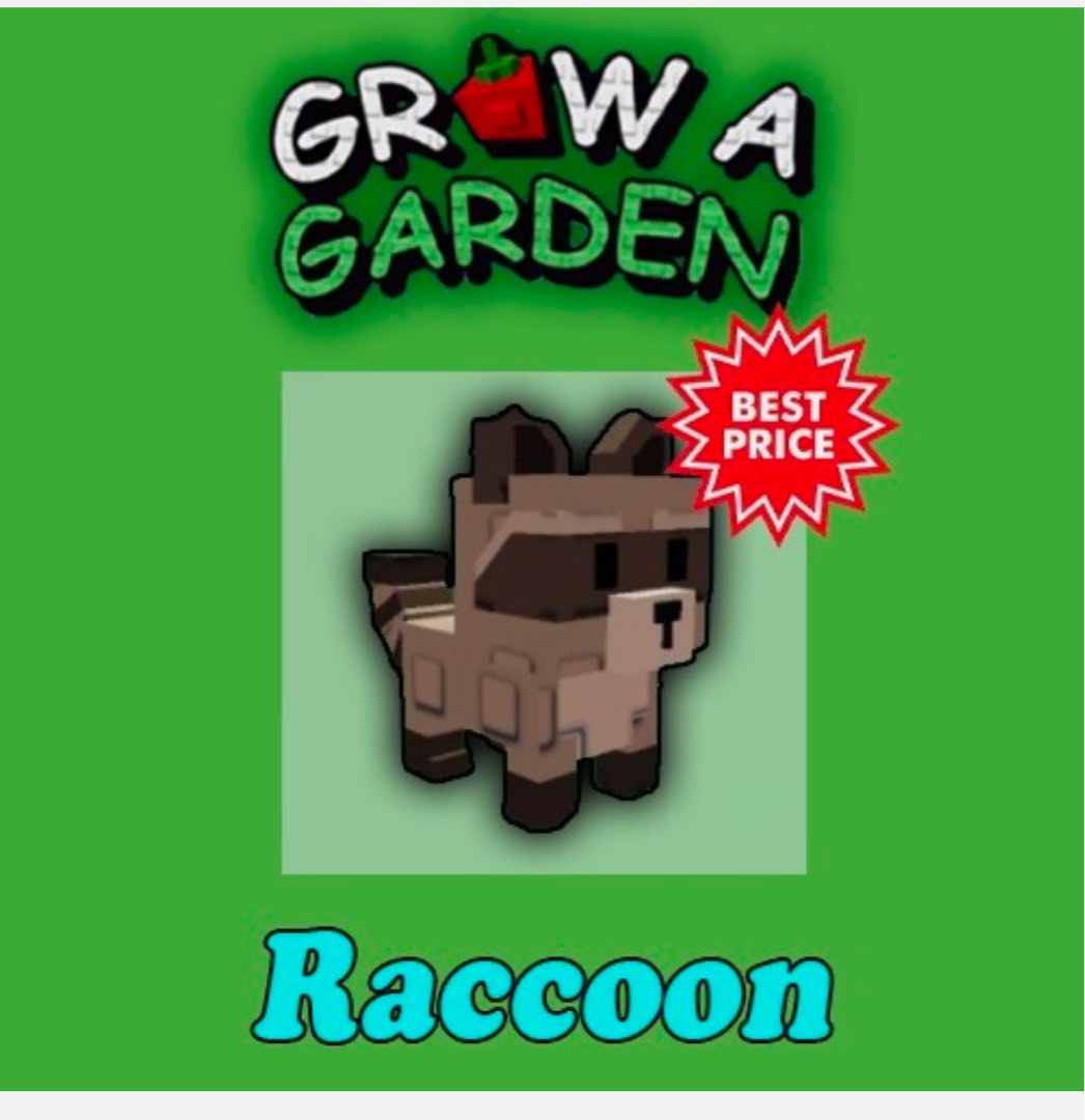 Grow a garden raccoon / dragonfly / disco bee, Video Gaming, Gaming Accessories, In-Game ...