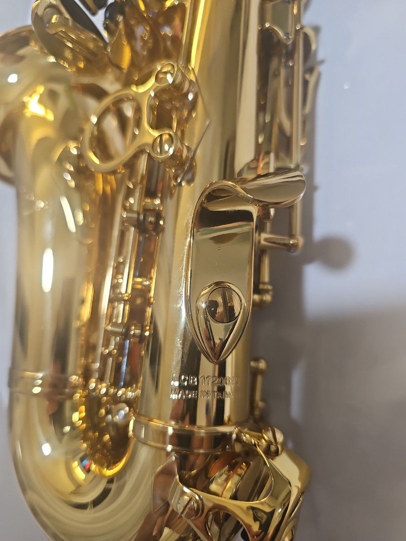 Reputable Taiwanese brand, LC Curved Soprano Saxophone S601, Hobbies ...
