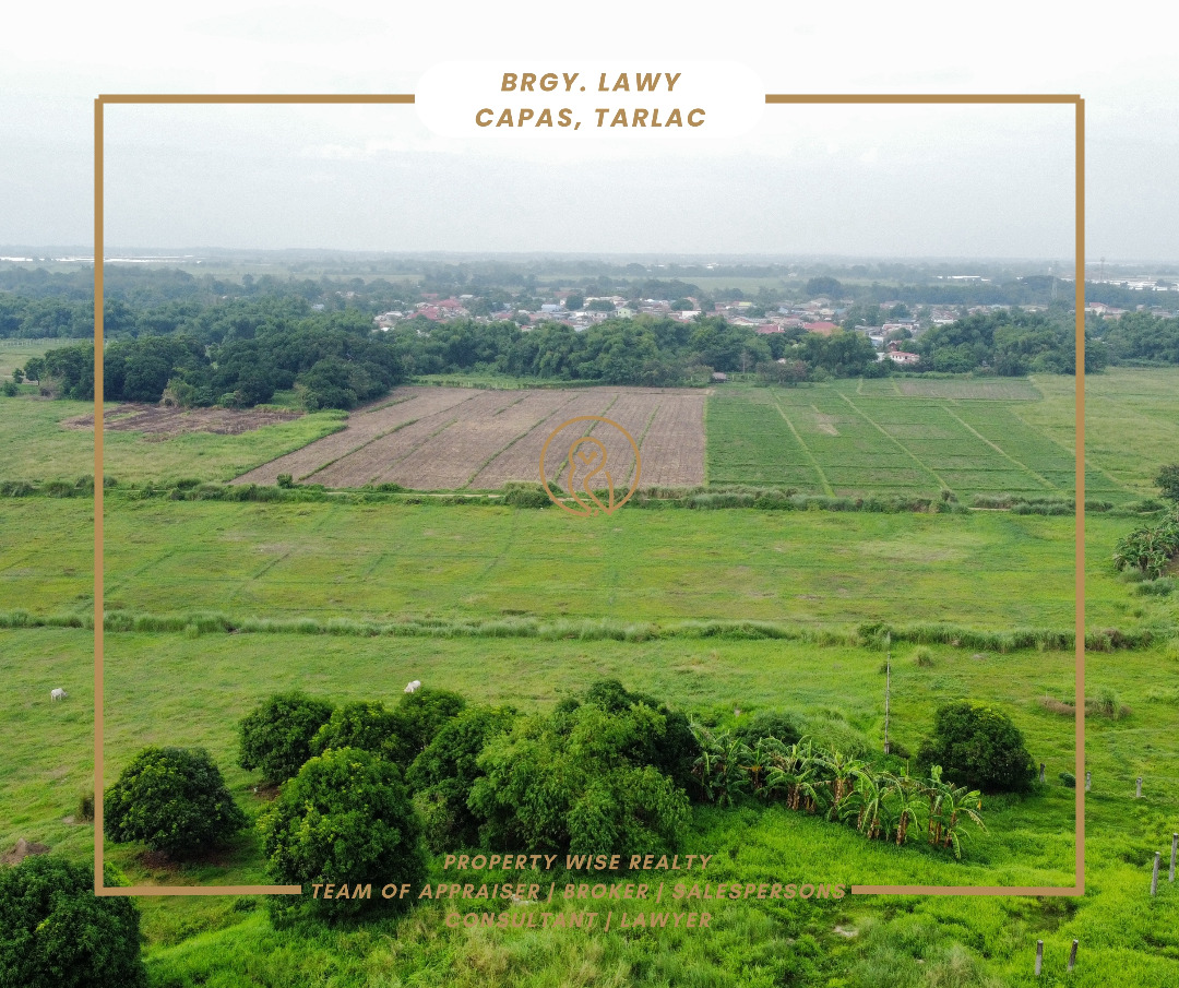20 hectare Rawland for Sale | Capas Tarlac, Property, For Sale ...