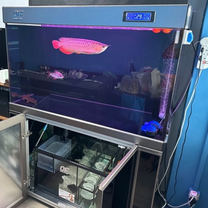 4 feet Fish Tank, Pet Supplies, Homes & Other Pet Accessories on Carousell