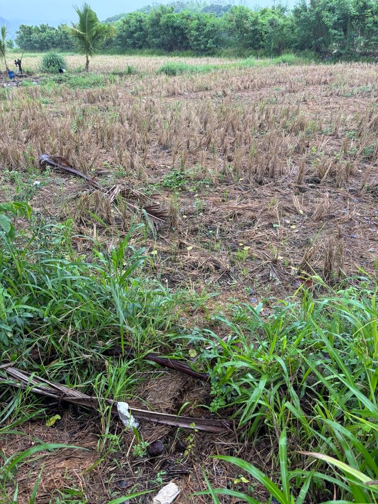 5.6 has vacant LOT for SALE in Tanay Rizal, Property, For Sale, Lot on ...