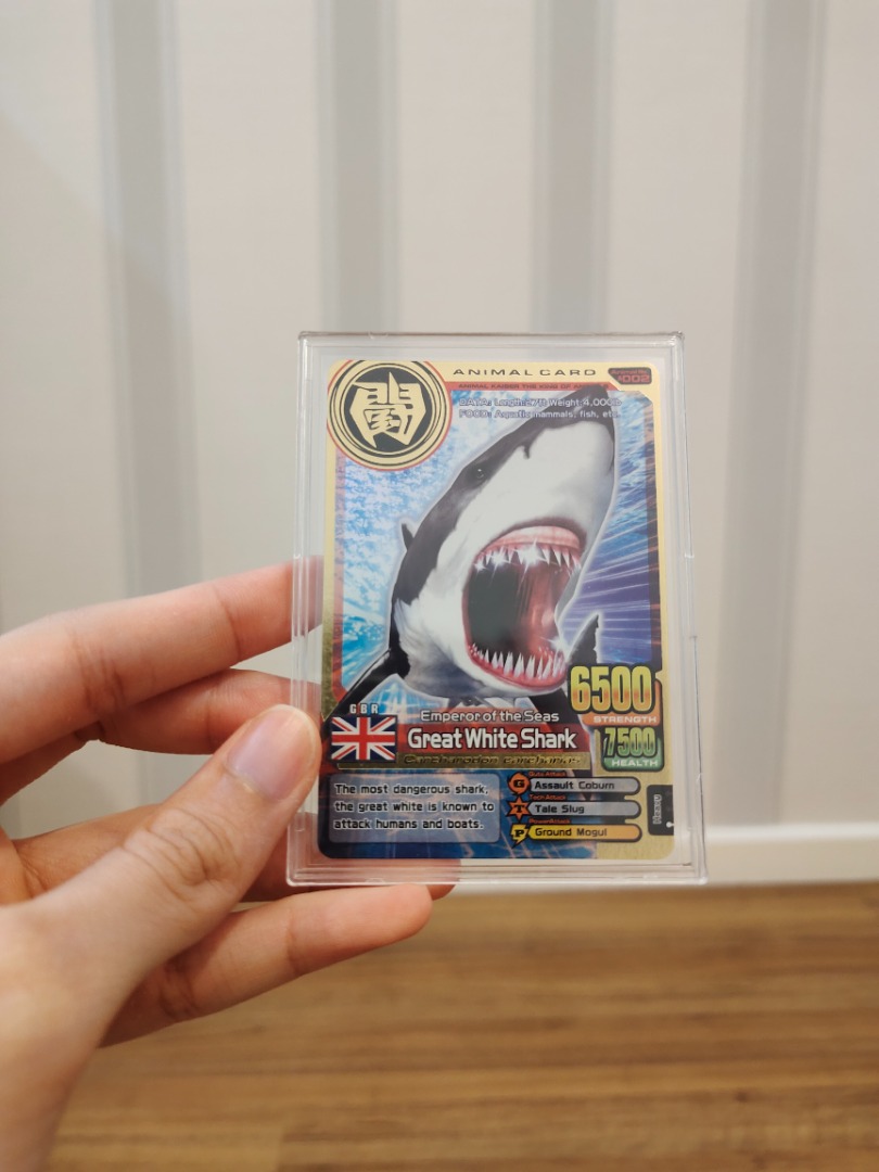 Animal Kaiser Plus Gold Great White Shark, Hobbies & Toys, Toys & Games ...