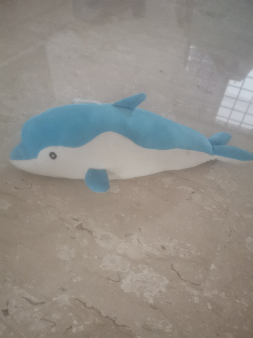Dolphin soft toy, Hobbies & Toys, Toys & Games on Carousell