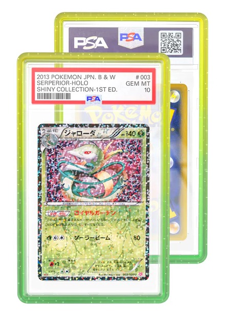 Gradedguard Python PSA, Hobbies & Toys, Toys & Games on Carousell