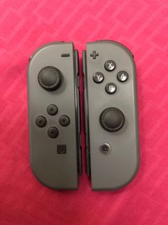 Original Nintendo Switch Animal Crossing joycon, Video Gaming, Gaming ...