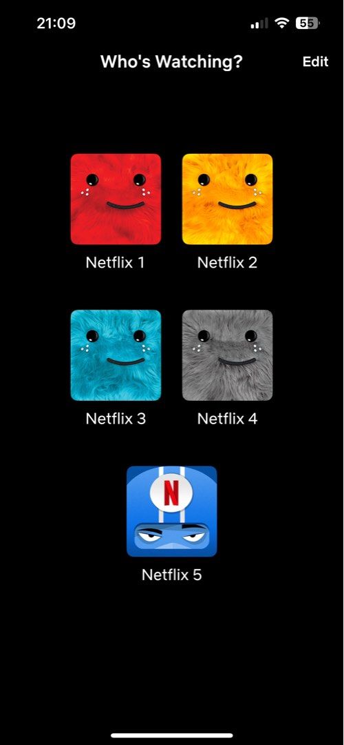 NETFLIX PRIVATE 3 BULAN RM50, Everything Else, Others on Carousell