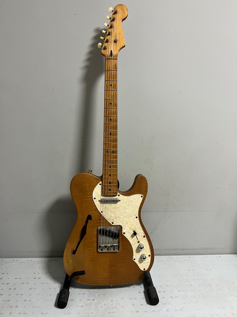 Custom Made Tele Thinline Special, Hobbies & Toys, Music & Media ...