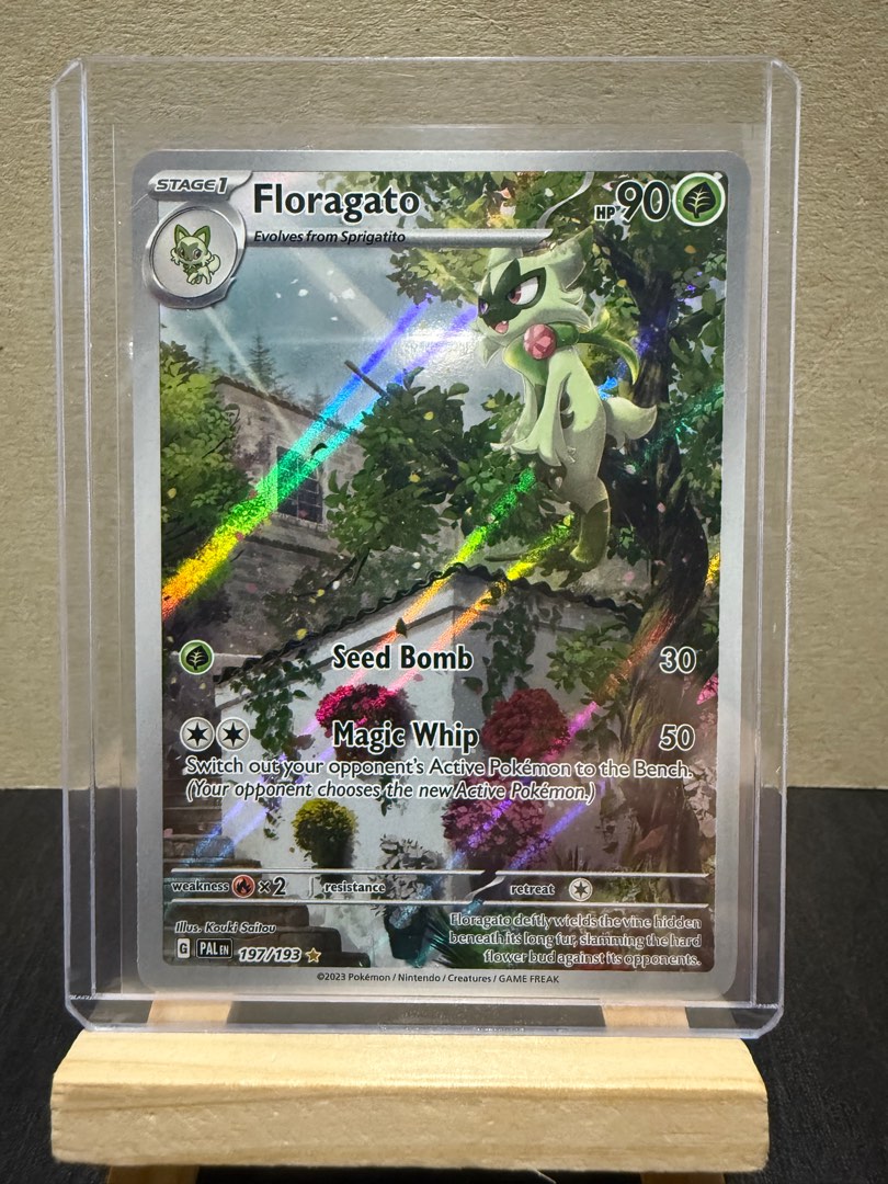Floragato #197 IR, Hobbies & Toys, Toys & Games on Carousell