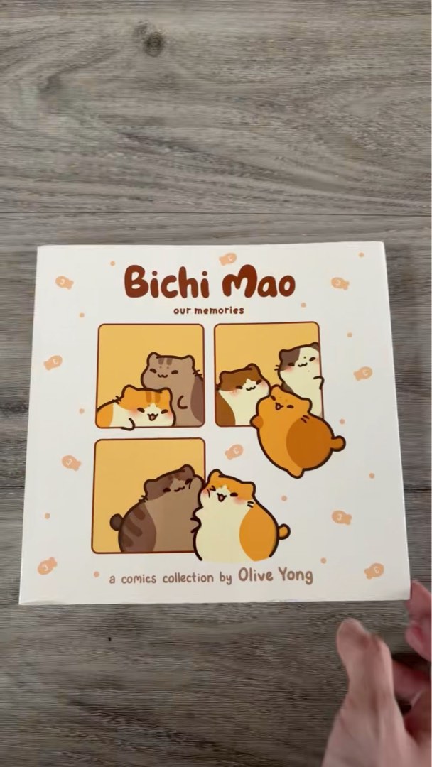Bichi Mao: Our Memories Comics Collection by Olive Yong on Carousell
