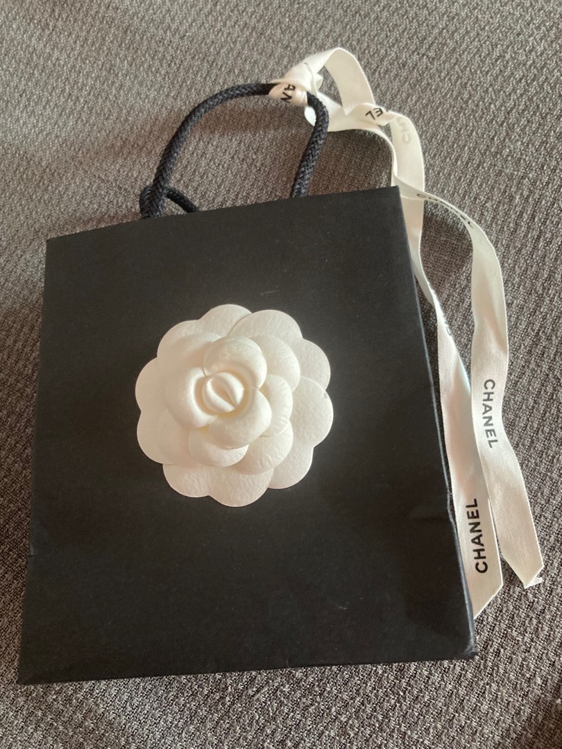 Chanel Paper Bag, Hobbies & Toys, Stationery & Craft, Other Stationery ...