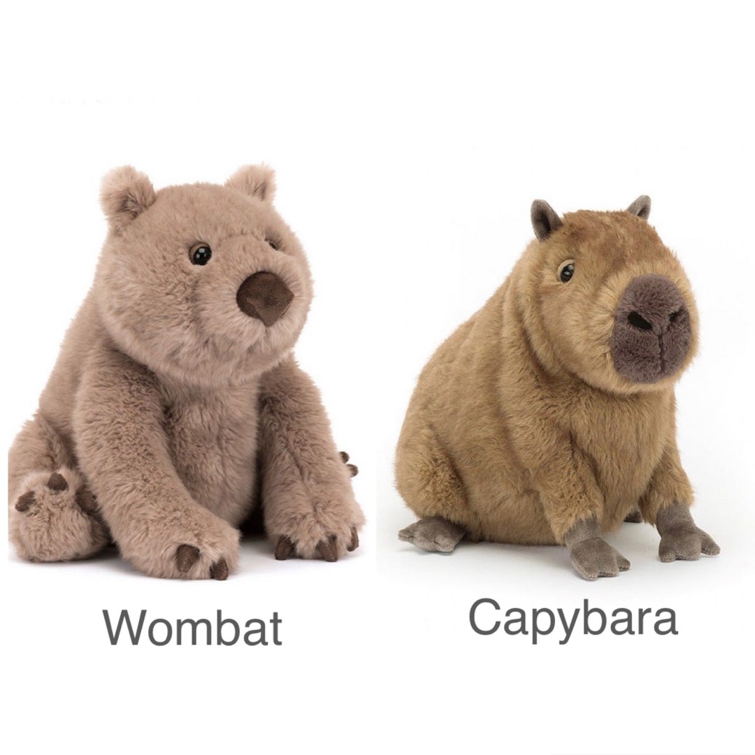 [IN STOCK] BNWT Jellycat Wonda Wombat Capybara, Hobbies & Toys, Toys ...