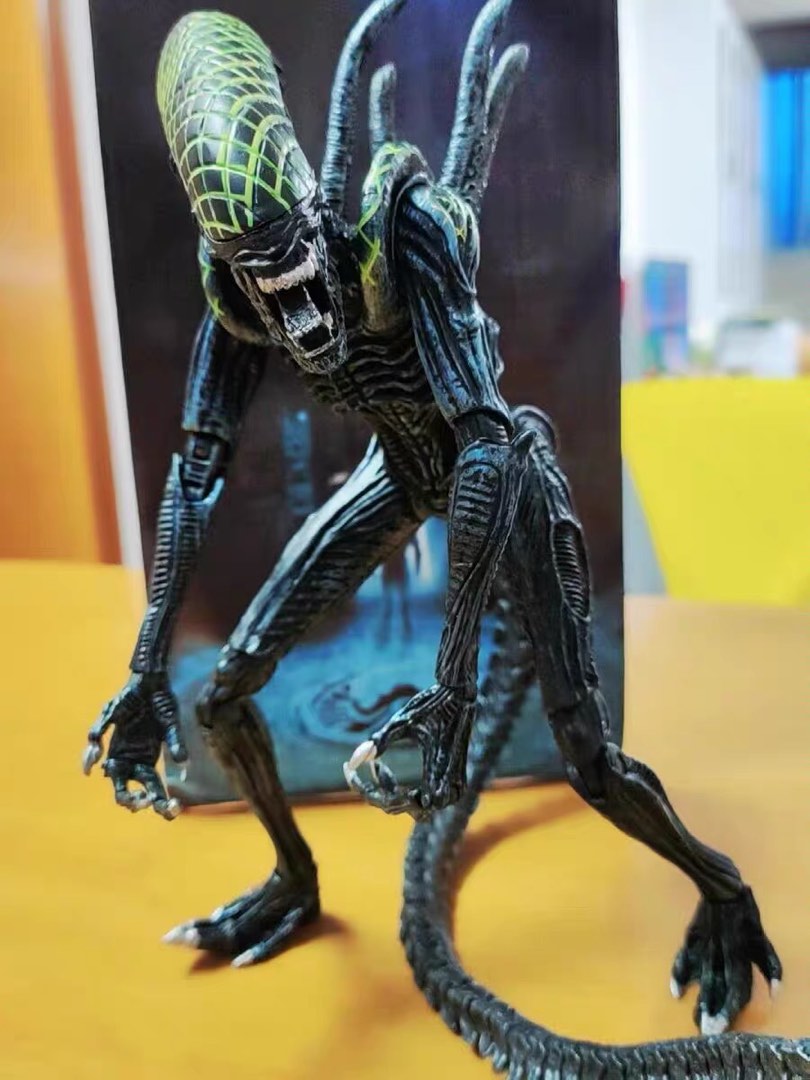 Neca AVP alien, Hobbies & Toys, Toys & Games on Carousell
