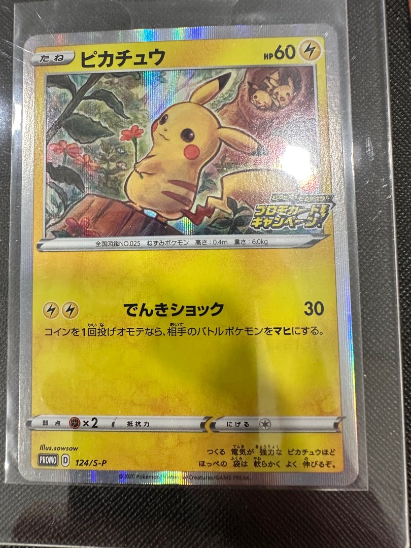 (Updated) Pikachu Japanese Variations, Hobbies & Toys, Memorabilia ...