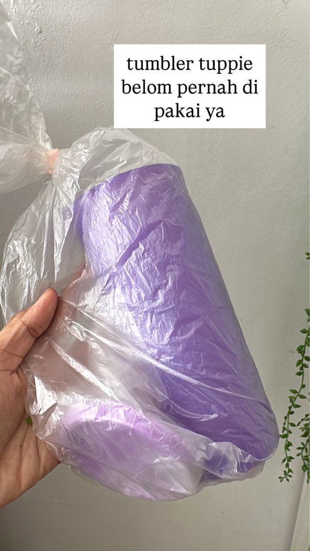 tumbler tupperware, Barang Yang Dicari di Carousell