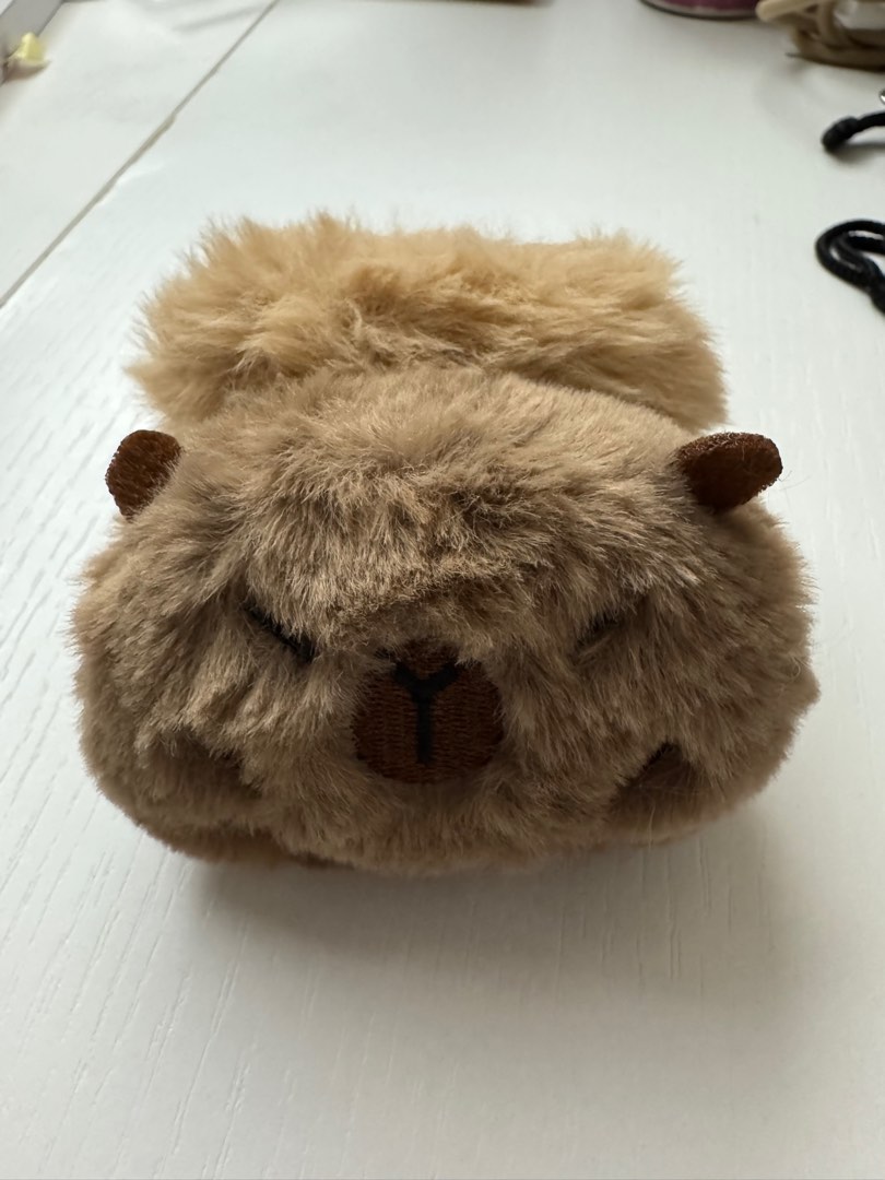 包郵！capybara 卡皮巴拉 水豚 airpod pro case 無線耳機套, 手提電話, 電話及其他裝置配件, 其他電子周邊配件及產品 ...