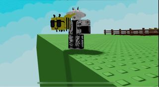 Ascended|Gold|Rainbow|Shocked Grow a Garden Raccoon Dragonfly Butterfly ...