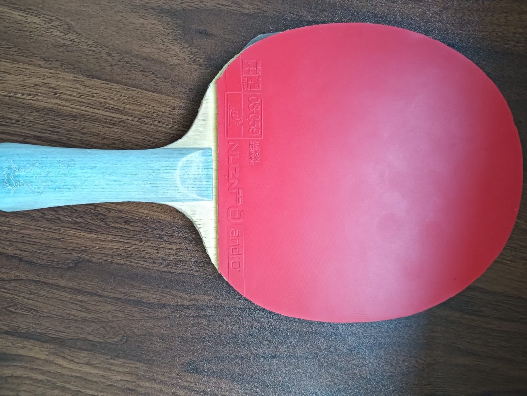Table Tennis Blade DHS Hurricane Long 5 (W968 National) (Blade Only) (Can Nego), Sports ...