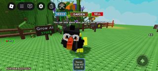 “Toucan grow a garden” For Sale | Carousell Singapore