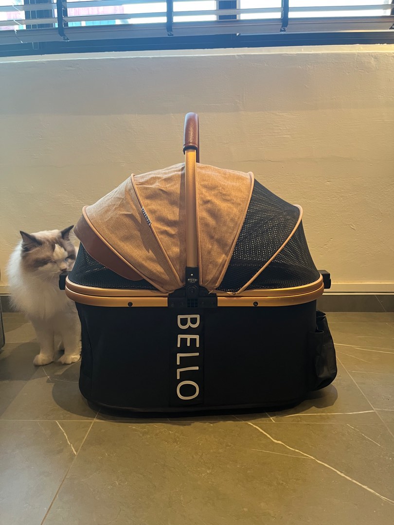 Bello Pet Stroller - Foldable and Portable, Pet Supplies, Homes & Other ...
