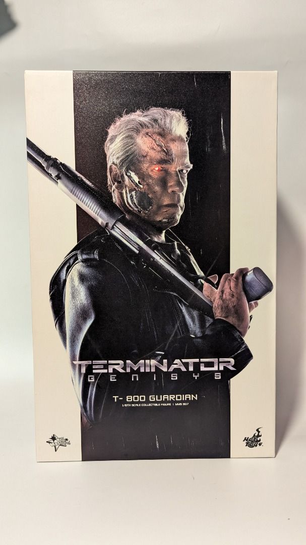 Hottoys Terminator T800 Genesys 1/6 Scale Figure MMS307 HT Sideshow Hot ...