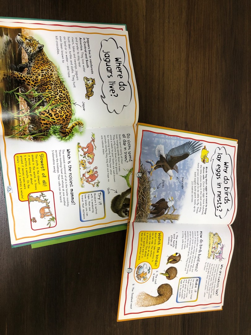 Why Why Why? Children's Educational Books, Hobbies & Toys, Books ...