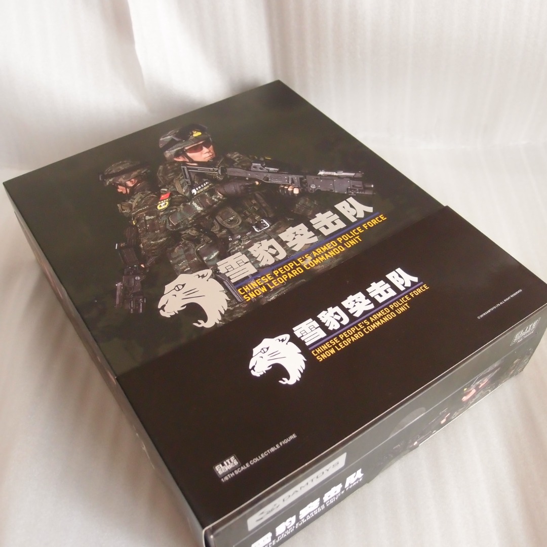 Damtoys 1/6 Scale Chinese Armed Police Force Snow Leopard Commando Unit ...