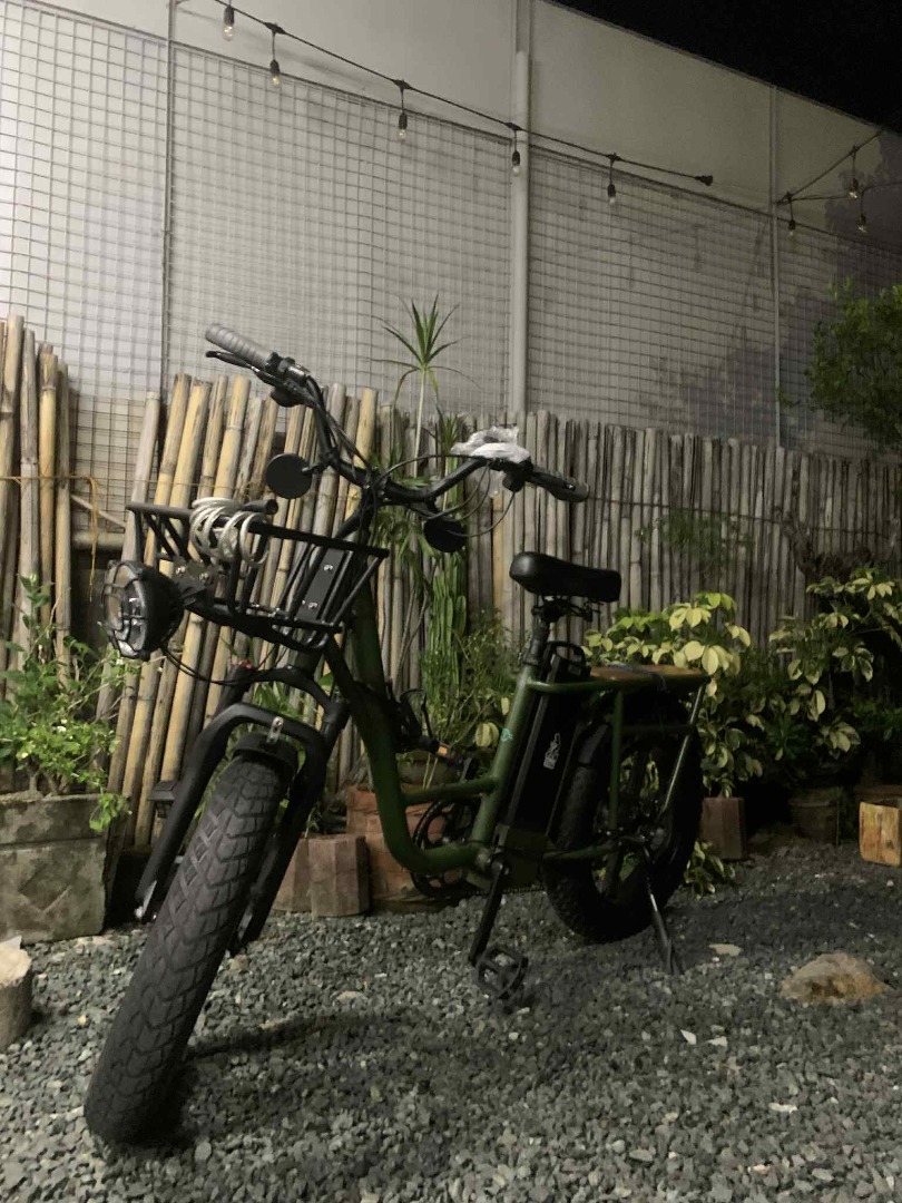 Fiido T-1 Pro cargo/Utility Ebike, Sports Equipment, Bicycles & Parts ...