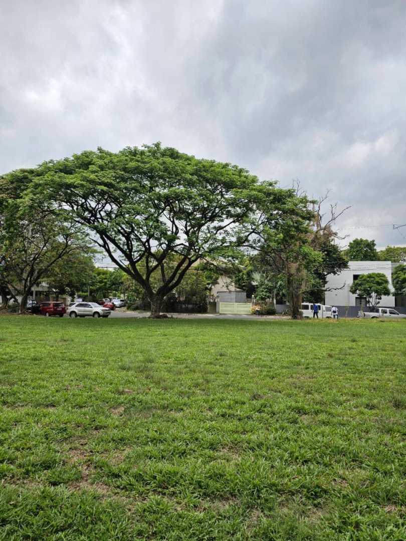 Lot For Sale Corinthian Gardens Village Quezon City Vacant Lot Not ...